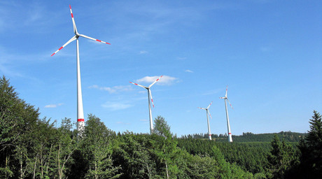 Windräder, ja - am liebsten ganz weit weg, in den Wald!